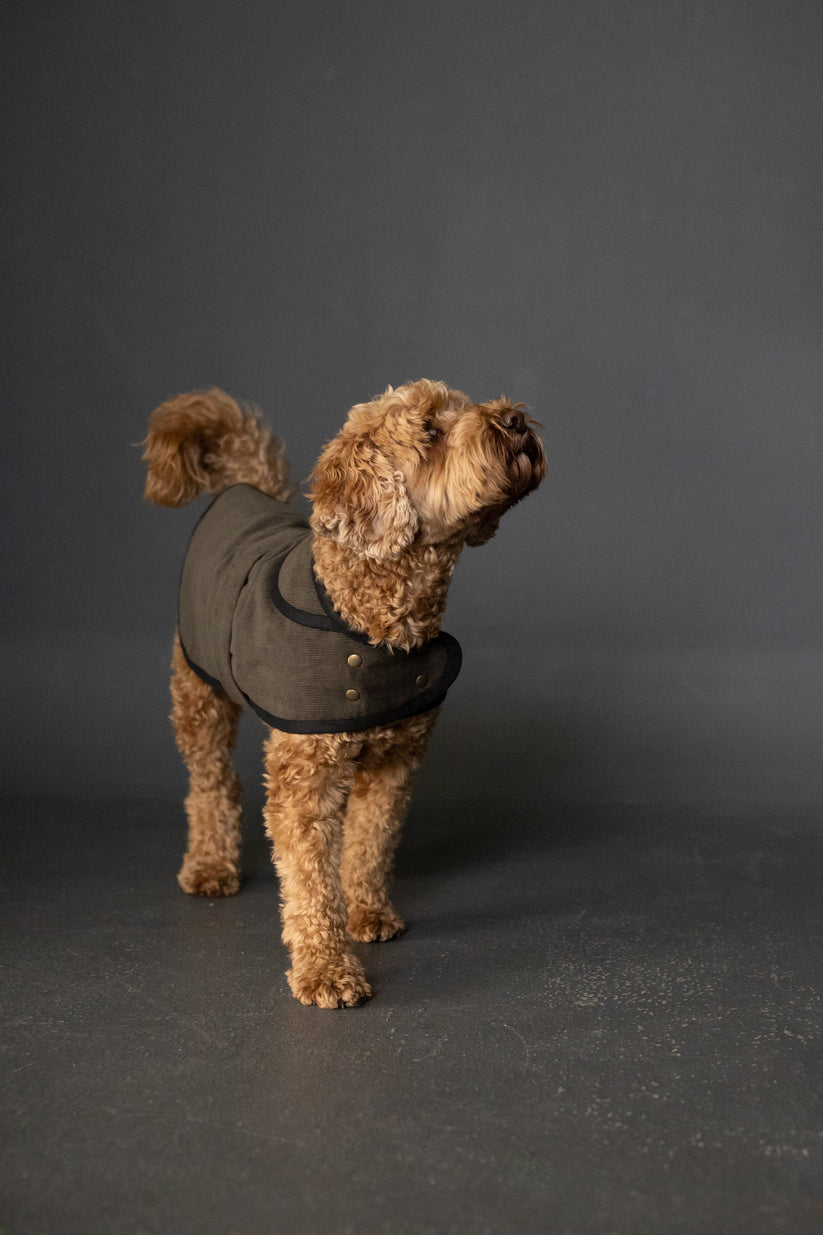 【PDF pattern】The Barka Dog Coat – Sail & Thread